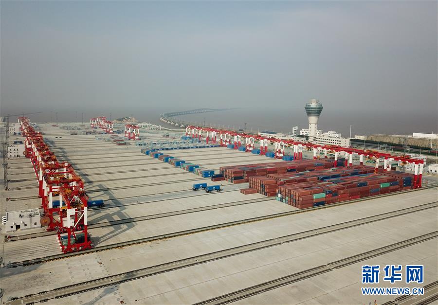 World's largest automated container terminal opens in Shanghai - Team ...